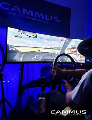 China Racing Car Gaming Driving Simulator with Wheel And Pedals Sim Stand for sale