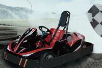 China Remote Control Electric Mini Go Kart 540w/H Lithium Battery Operated for sale