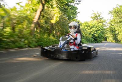 China Remote Control Electric Mini Go Kart 540w/H Lithium Battery Operated for sale