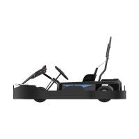 China CAMMUS Belt Drive Sport Go Kart 165Kg 48 Volt Electric Go Kart for sale