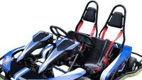 China CAMMUS Fun World Single Motor Double Seater Go Kart ISO9001 for sale