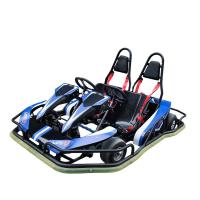 China Alloy Steel Frame Double Seater Go Kart 12Nm Fast Track Karting for sale