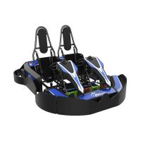 China 2.5h Running 2 Seater Racing Go Kart High Speed Single Motor for sale