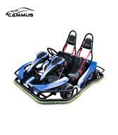 China Belt Drive 2 Seater Go Kart for sale