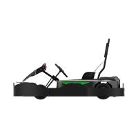 China Two Motor 14Nm Performance Go Kart For Teenager Remote Control for sale