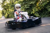China ISO9001 36 Volt Amusement Park Go Kart With 5 Inches Hub for sale
