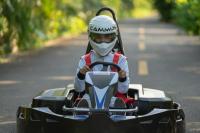 China ISO9001 36 Volt Amusement Park Go Kart With 5 Inches Hub for sale