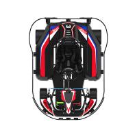 China Belt Drive 4KW Pro Racing Go Karts For Entertainment Park for sale