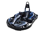 China Single Disc Brake Electrical Go Kart 3000RPM Pro Racing Go Kart for sale