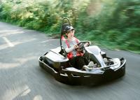 China Professional 1.27Nm Mini Racing Go Karts For Kids Remote Control for sale