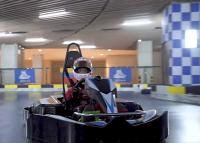 China 14Nm Fast Electric Go Kart For Adults for sale