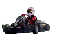China 48V Adult Remote Control Go Kart for sale