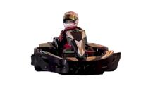 China Double Motor 4000W Adult Racing Go Karts 120km/H High Speed for sale