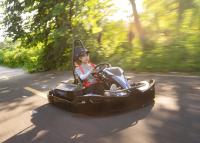 China EV Kart Electric Drift Cart 3000W Go Kart Alloy Steel Frame for sale