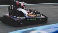 China 60 - 70km/h Adult Electrical Go Kart With APP Adjustment Control for sale
