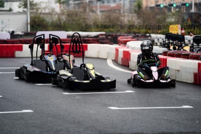 China Indoor Racing Electric Go Kart 900w 48V With 6 Levels Adjustments Pedal for sale