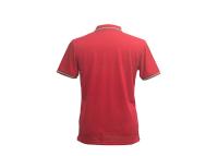 China Summer Men's Cotton Polo Shirts Two - Ply Slim Fit Silk Meah , Screen Printing for sale