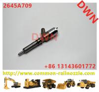 China Diesel injector 320-3800 321-3600 for engine C6.6 CA common rail excavator fuel injector for E320D for sale
