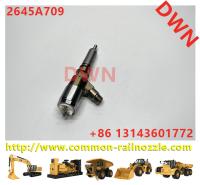 China Diesel injector 320-3800 321-3600 for engine C6.6 CA common rail excavator fuel injector for E320D for sale