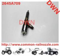 China 2645A709 Common Rail Injector 2645A731 2645A743 2768290 2820490 2897501 2939590 for sale