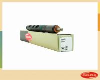 China EJBR05001D JCB Injector 320/06623  New and Genuine Fuel Injector for sale