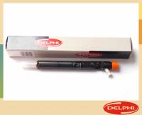 China EJBR03701D Hyundai Kia 2.9 Crdi 33800-4X810  New and Genuine Injector for sale