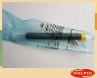China 28232242 EJBR04101D  1,5 dci  New and Genuine Fuel Injector for sale