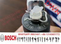 China BOSCH GENUINE AND BRAND NEW Fuel injector  0445110291 111201055D 0445110291  For BAW / FAW 3.0D 2008- for sale
