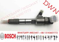 China BOSCH GENUINE AND BRAND NEW Fuel injector  0445110293   55577668 for Great Wall  GWM 2.8 -TCi GW28TC2 (OE 1112100-E06 ) for sale