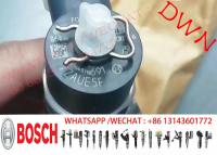 China BOSCH GENUINE BRAND NEW  injector 0445110691  0445110691 For  Foton ISUZU 4JB1 Engine for sale