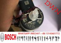 China BOSCH GENUINE BRAND NEW  injector 0445110821  0445110821 For WEICHAI   with DLLA150P2572 for sale
