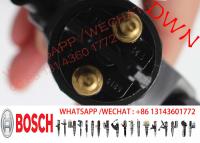 China 0445120343 0445120102 0445120357 612640080031 BOSCH Fuel Injectors For Weichai WP10 for sale