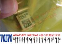China BEBE4D13101 20564930 85000590  Fuel Injectors For D16 Diesel Engine for sale