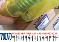 China BEBE4D13101 20564930 85000590  Fuel Injectors For D16 Diesel Engine for sale