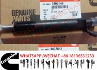 China Original  INJECTOR CUMMINS 3802648 3926787 3802648 3926787 3802648  6CT8.3 Diesel Engine for sale
