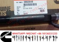 China Original  INJECTOR CUMMINS 3802648 3926787 3802648 3926787 3802648  6CT8.3 Diesel Engine for sale