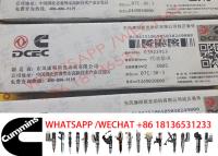 China 3926117 3922913 3802485 3926120 Cummins Fuel Injectors For 6CT8.3 for sale
