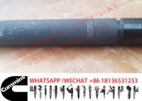 China 3926117 3922913 3802485 3926120 Cummins Fuel Injectors For 6CT8.3 for sale