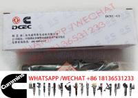 China 3926787 3802648 3926779 Cummins Fuel Injectors For 6CT8.3 Excavator for sale