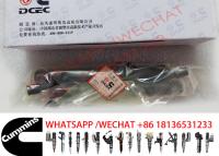 China 3926787 3802648 3926779 Cummins Fuel Injectors For 6CT8.3 Excavator for sale