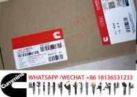 China 4062569 4928260  4010346  4088301 4088725 4903455 4928264 4928260 5708275 4088652 QSX15 for sale