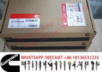 China 4026222 4903472  4903319 4062851 3411845 3411754 3411756 4026222 QSM11 ISM11 Fuel Injectors for sale