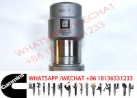 China 3609962 4326359 Cummins Fuel Injectors For XINYIDA K38 K50 for sale