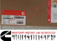 China 3609962 4326359 Cummins Fuel Injectors For XINYIDA K38 K50 for sale