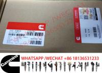 China 4001813 4087893 4088427 4326780 QSK45 QSK60 injecor for sale
