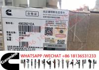 China 4902921 QSM11 ISM11 Cummins Fuel Injectors for sale