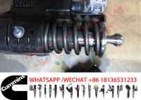 China 4307547 4903084  3411752 Cummins Fuel Injectors For ISM11 QSM11 for sale