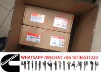 China 4928260 4062569 QSX15 ISX15 Diesel Engine Fuel Injector for sale