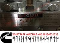 China Original 1016096-3750 Cummins Fuel Injection Pump for sale