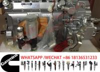 China Original 1016096-3750 Cummins Fuel Injection Pump for sale